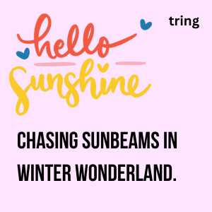 100 Sunshine Captions for Instagram, Radiant Quotes for Your Photos