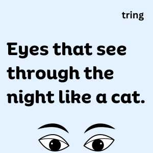 120+ Eye Captions for Instagram With Images
