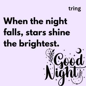 125+ Night Captions for Instagram, Dreamy Quotes, Messages, and More