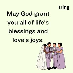 100+ Wedding Wishes For Reception