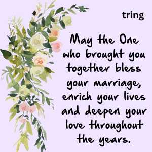 100+ Wedding Wishes For Reception