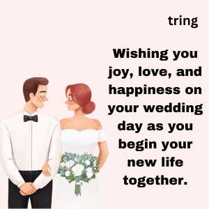 100+ Wedding Wishes For Reception