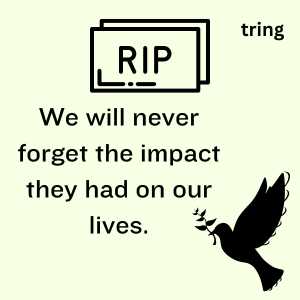 95+ Emotional and Heart-touching RIP Quotes for Friend