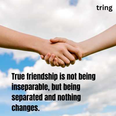 75+ Best Friendship Captions for Instagram