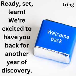 99+ Uplifting Welcome Back Wishes for Colleagues, Friends, and Family