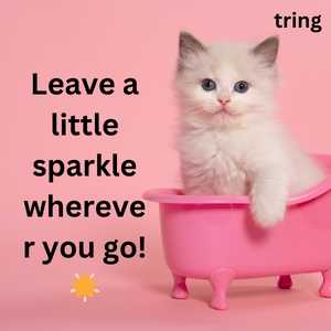 50 Cute Captions For Instagram For Loved Ones From Tring