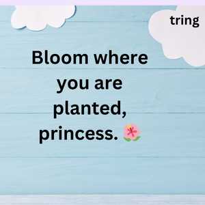 50 Cute Captions For Instagram For Loved Ones From Tring