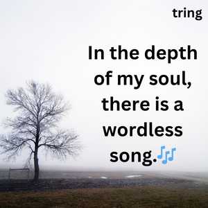 50+ Best Alone Captions For Instagram