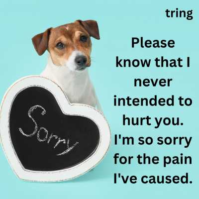 80+ Best I am Sorry Quotes to Ask for an Apology