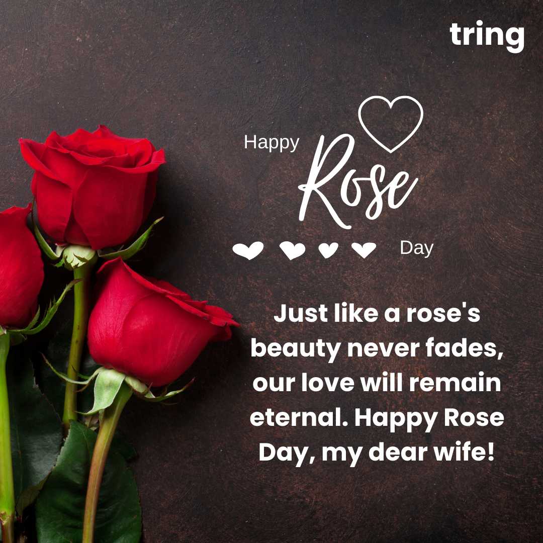 120+ Romantic Rose Day Wishes Images For Loved Ones
