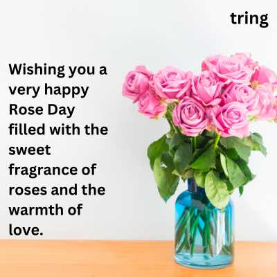 100+ Rose Day 2024 Wishes, Messages, Images and More