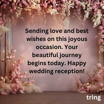 100+ Wedding Wishes For Reception