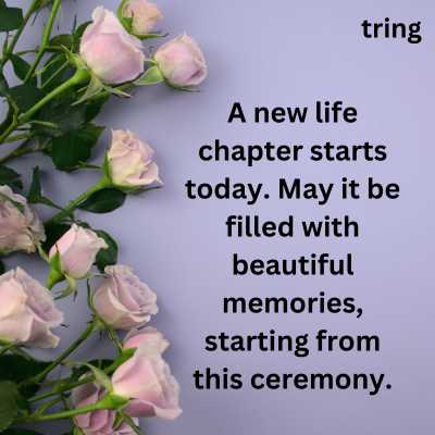 100+ Wedding Wishes For Reception