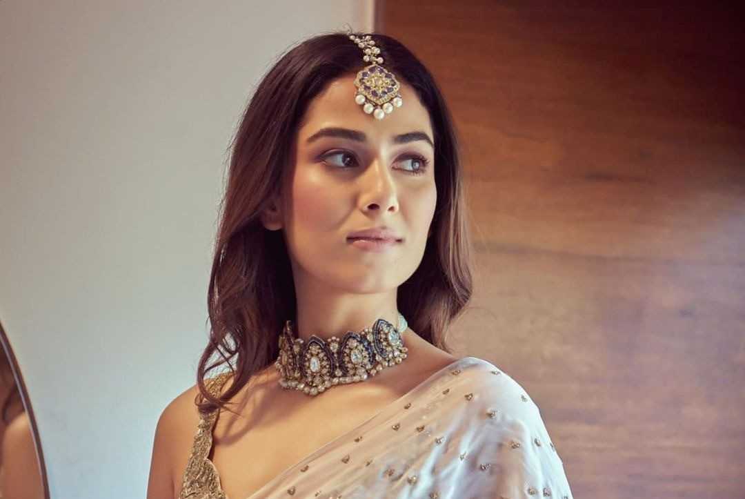 Mira Rajput | Biography, Age, Family, Career, Net Worth