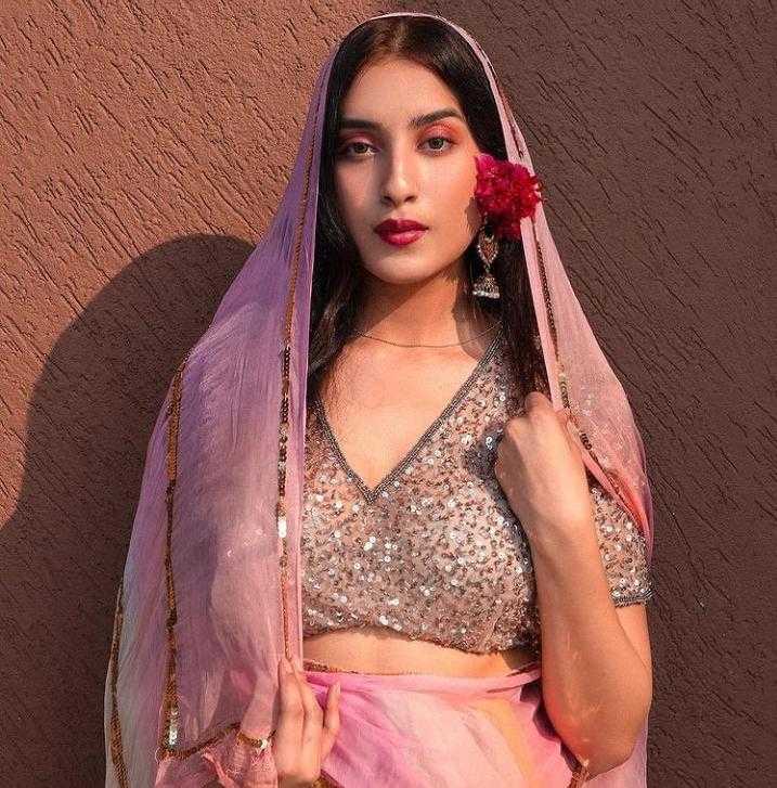 Janvi Singh Influencer Model Age Instagram Birthday Biography