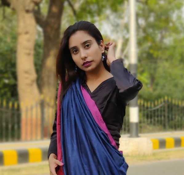 Parul Arora Influencer| Biography Content Creator