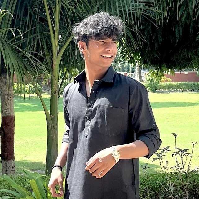 Mridul Singh Music | Age Birthday Biography