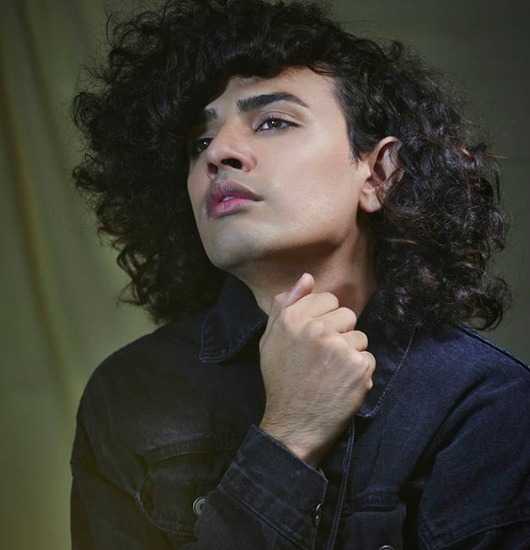 Poojan Solanki Singer Model Biography Career Instagram