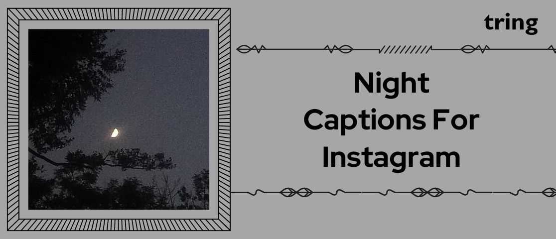 125+ Night Captions for Instagram, Dreamy Quotes, Messages, and More