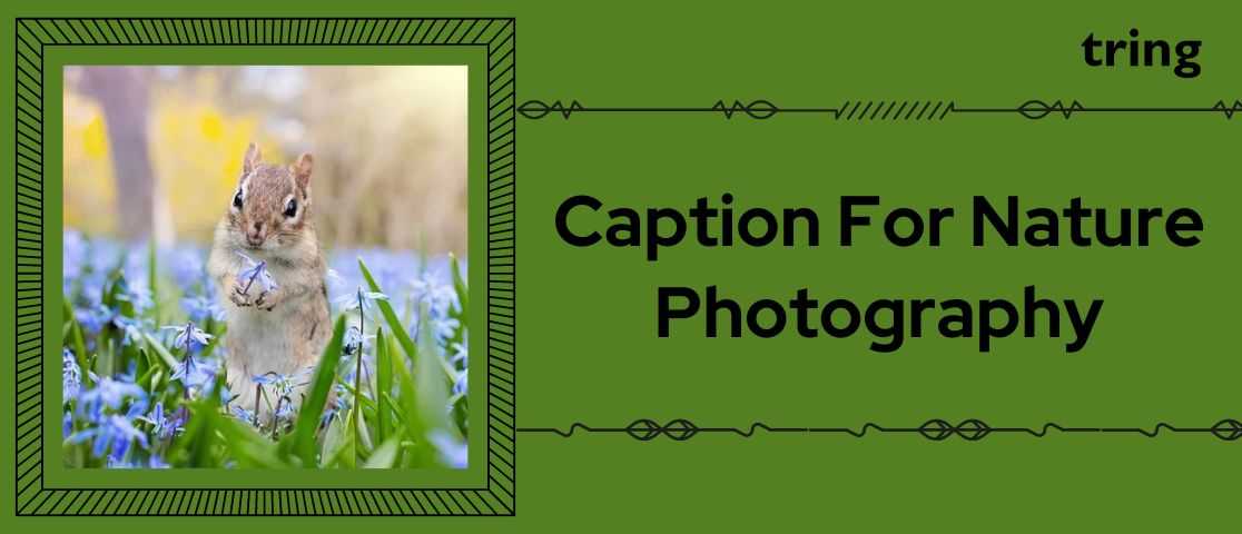 50+ Caption for Nature Photography from Tring India