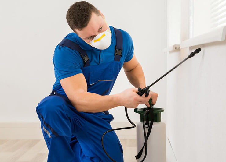 Pest Control Software - Gruntify