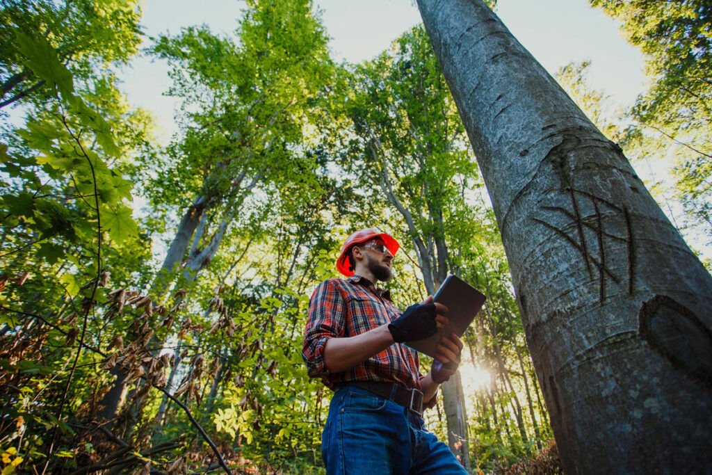 Environmental Inspection Workflows