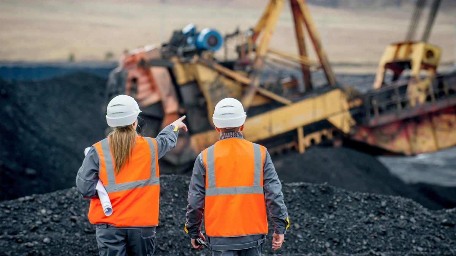 Environmental Inspection Workflows