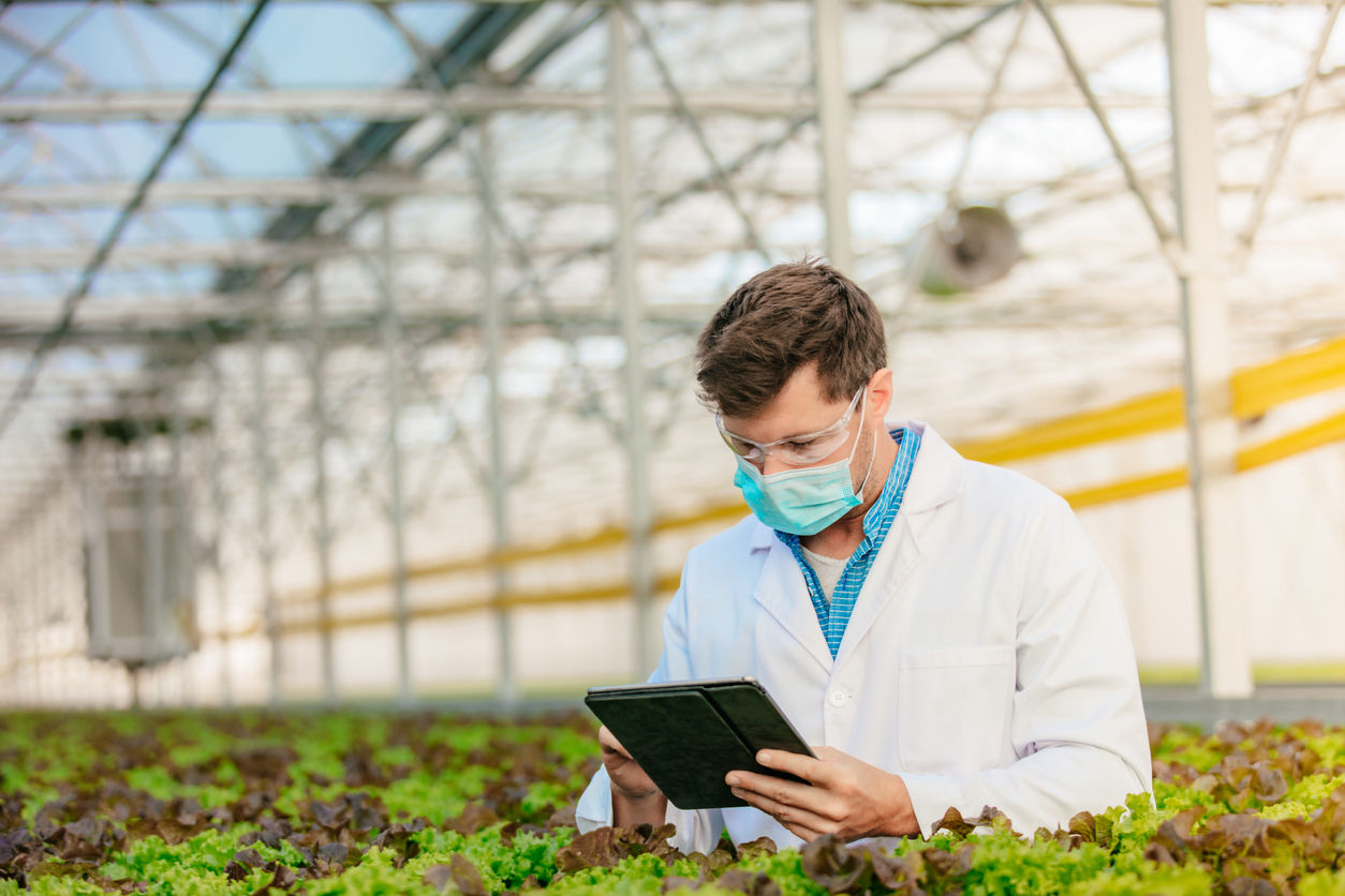 How Gruntify Can Help Streamline Your Environmental Inspections - Gruntify