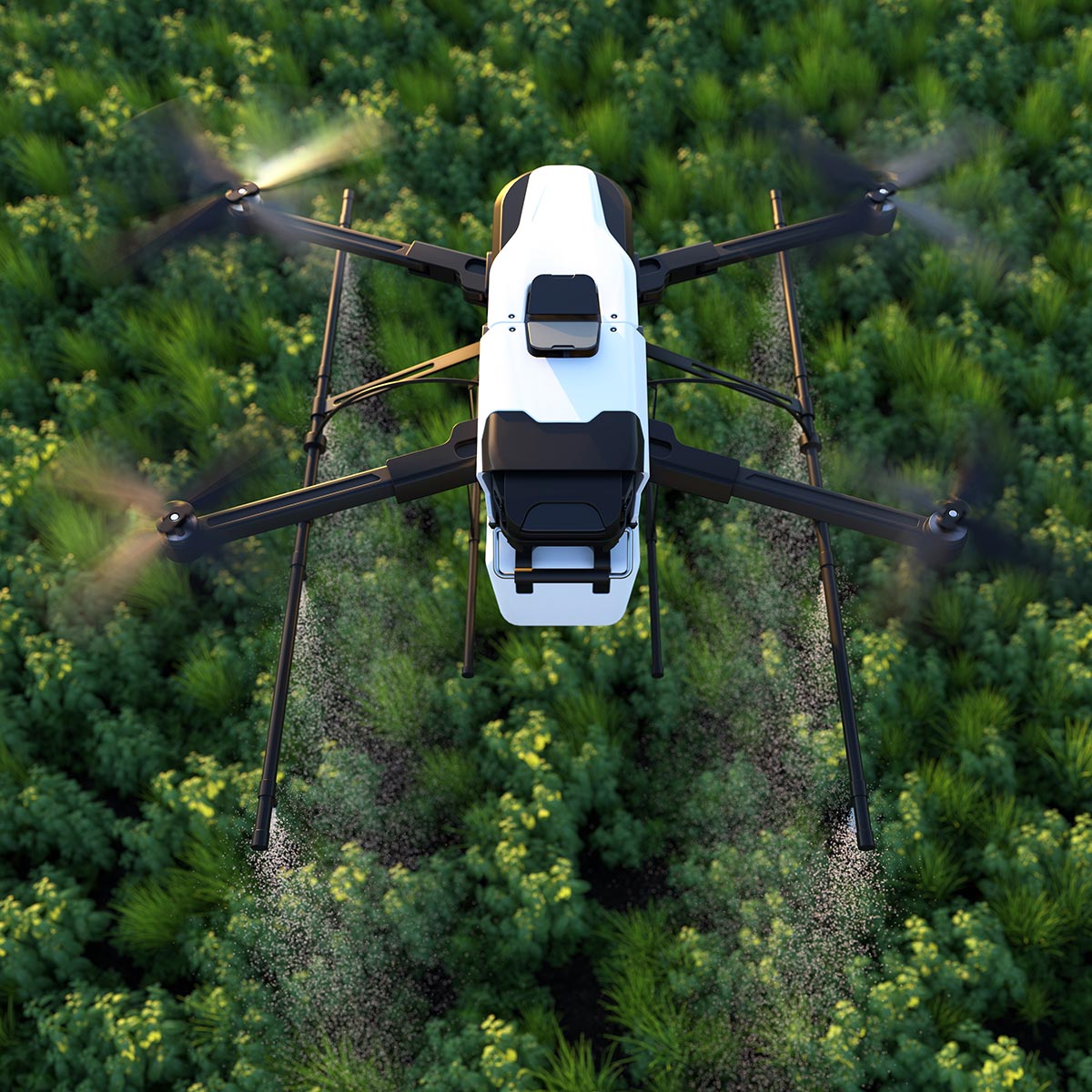 Biosecurity Inspections - Gruntify