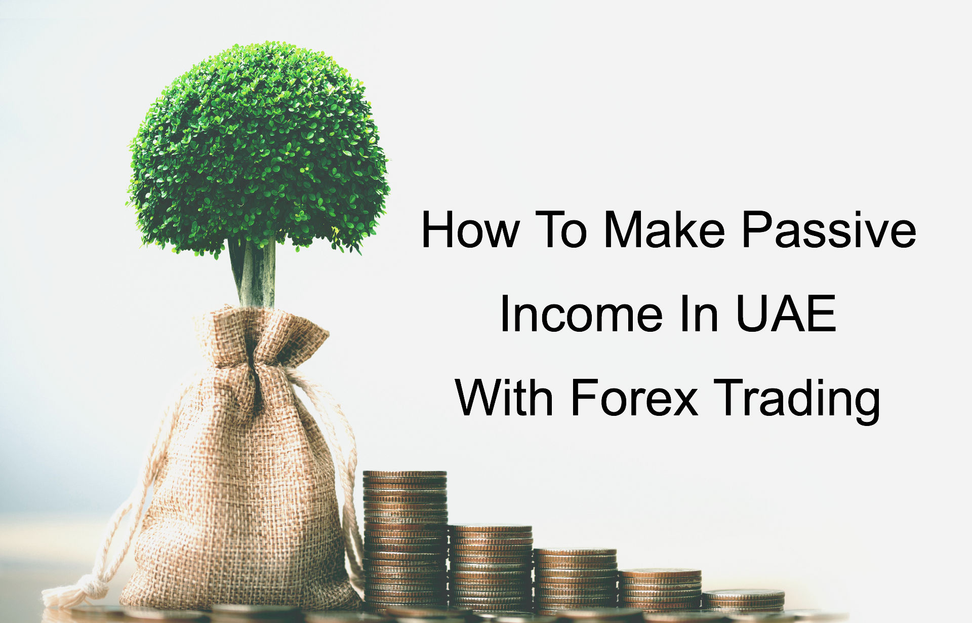 How to Make a Passive Income With Forex Trading in the UAE?