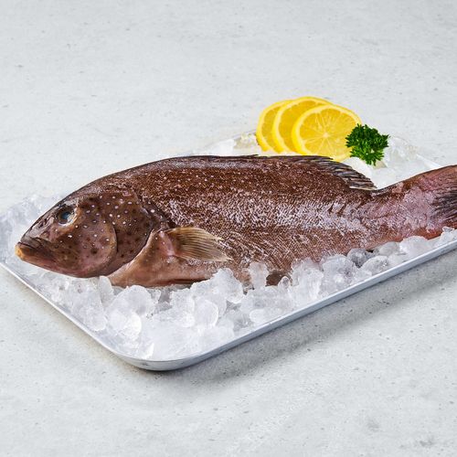 Whole Fish | Fresh Seafood & Fish Delivery in Singapore | Order Online