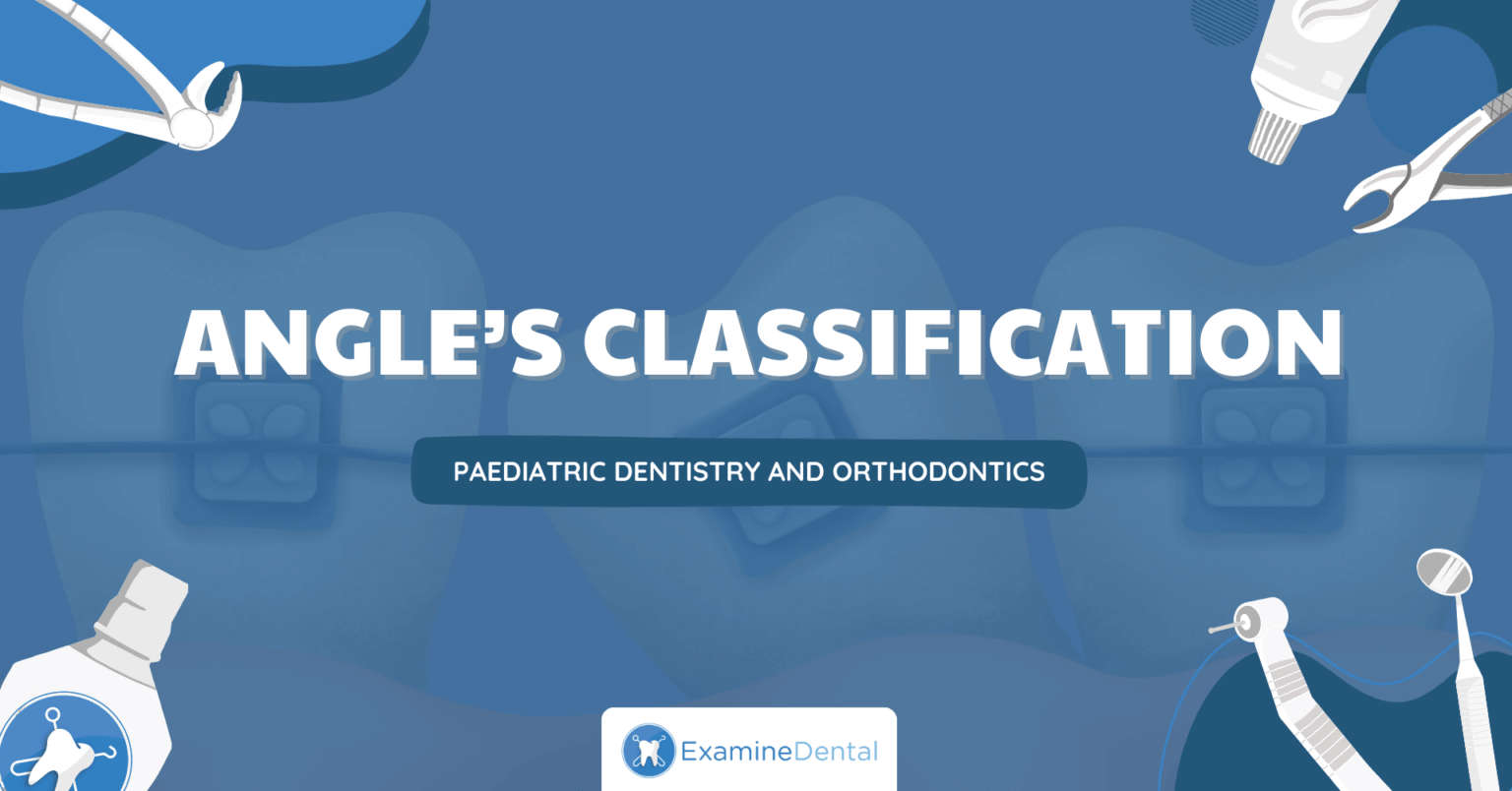 Angle's Classification of Malocclusions - ExamineDental