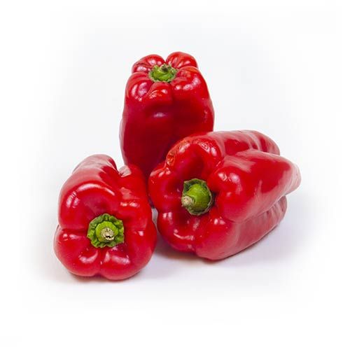 Locote rojo por kilo. | cadena_real