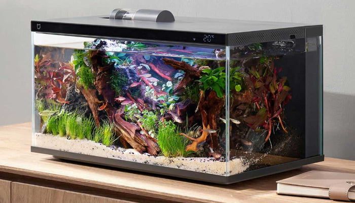 Xiaomi arată un acvariu inteligent cu comenzi prin aplicație - Galaxy Tech