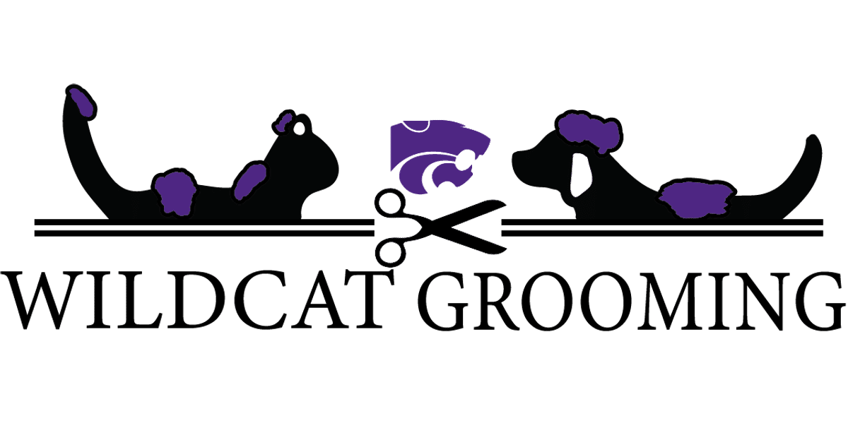 December Wildcat Grooming | SuccessFund