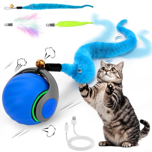 Kit