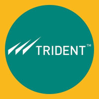 TRIDENT Intrinsic Valuation and Fundamental Analysis - Trident Ltd ...