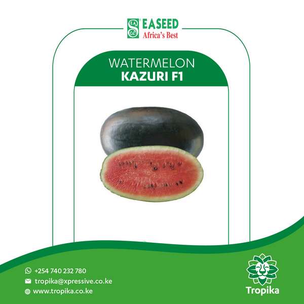 Watermelon Seeds Archives - Page 2 of 3 - Tropika.co.ke