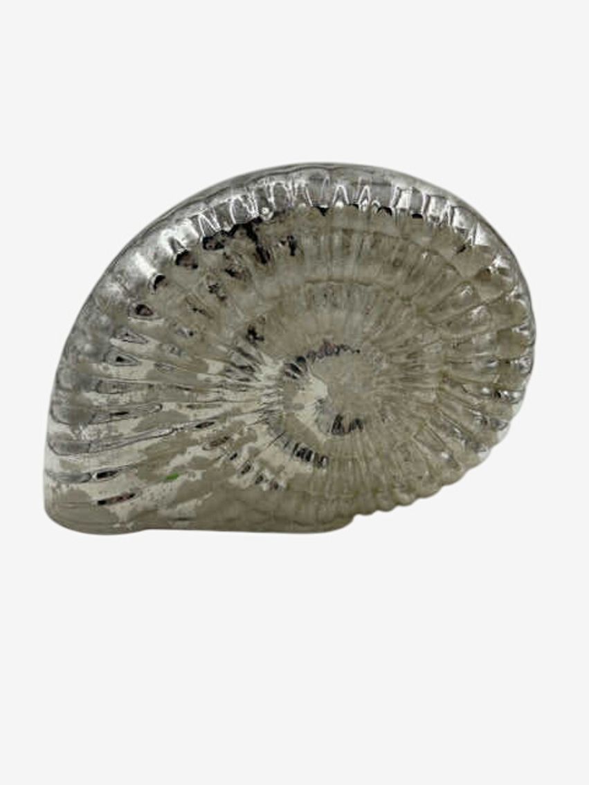 Mercury Glass Sea Shell | Kashew