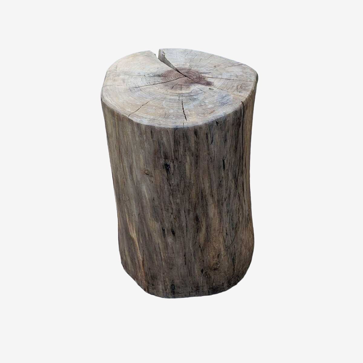 Rustic Tree Stump Stool | Arbor Upcycle - $150 | Kashew | Kashew
