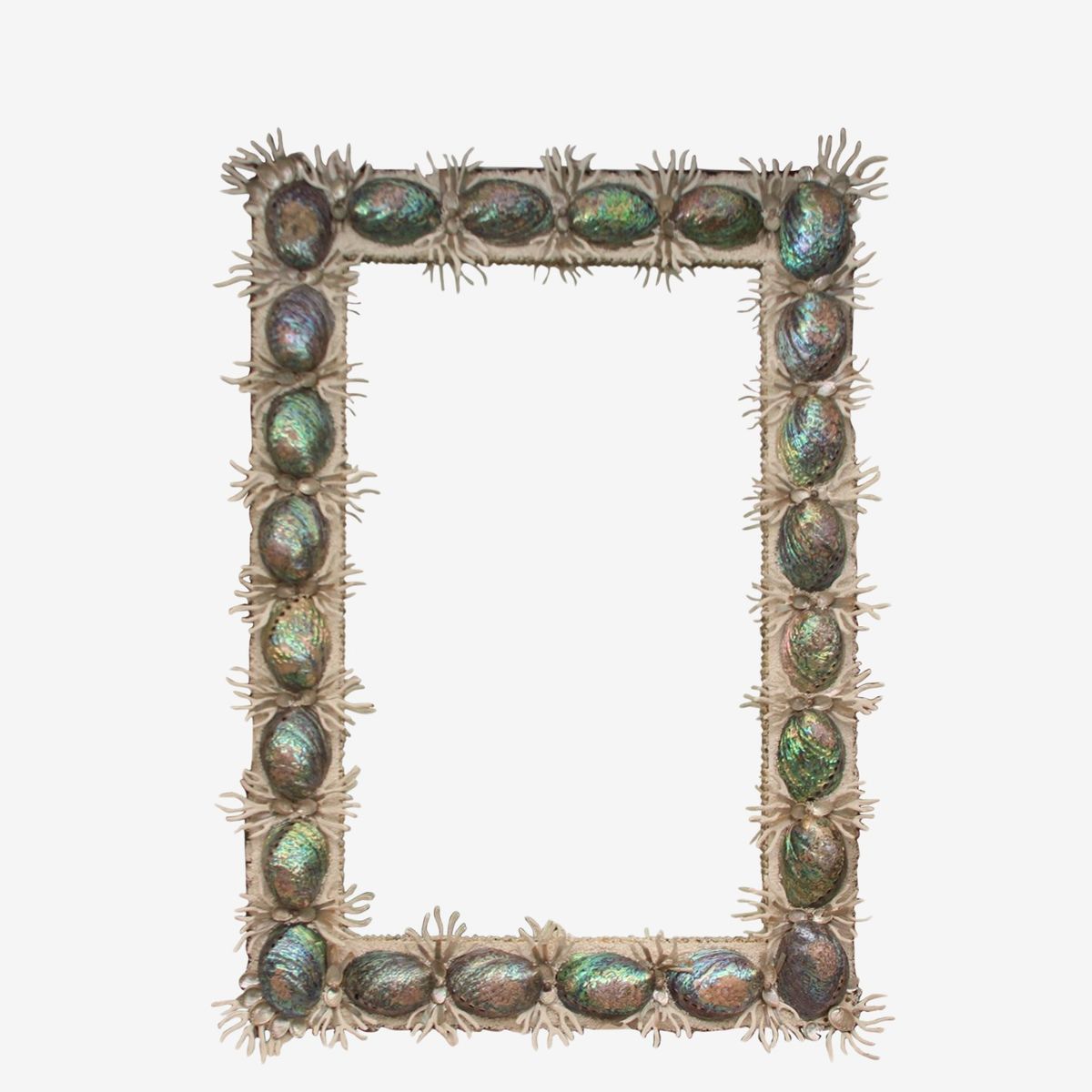Contemporary Monumental Abalone Shell and Spider Coral Mirror - $956 ...