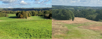 Rewilding of Allestree Park awarded £1.1 million to deliver community’s ...
