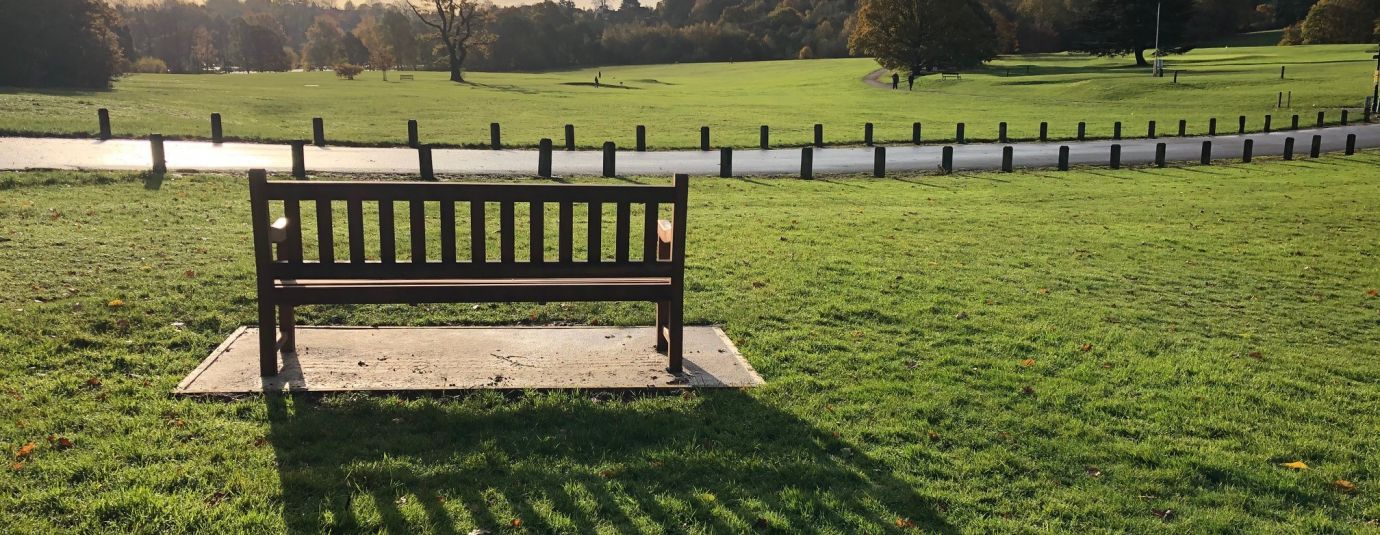 Derby Parks: 2021 in review | Derby Parks