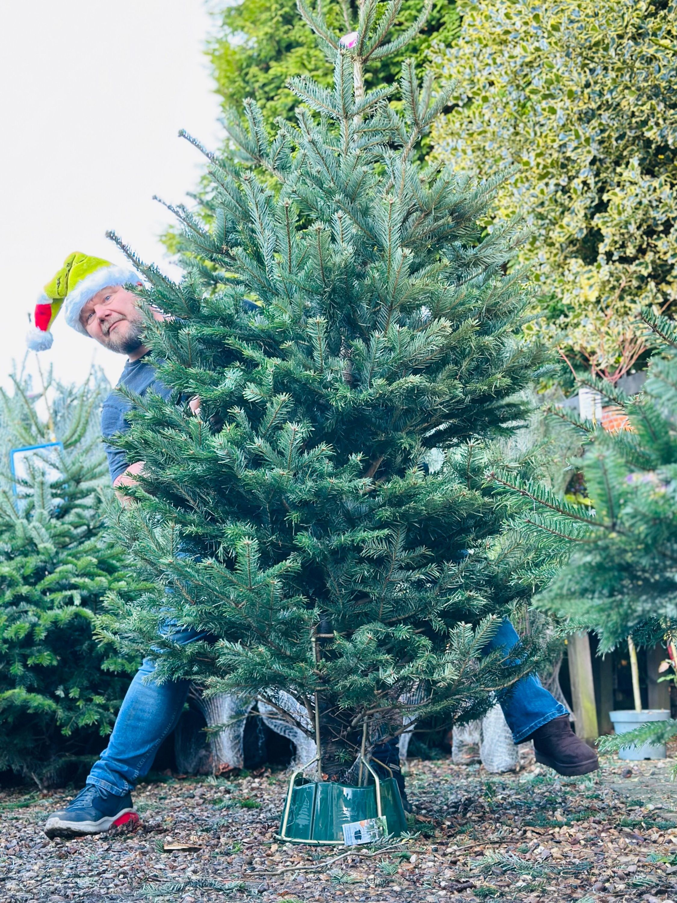 Denby Christmas Market 2025 :: Visit Derby