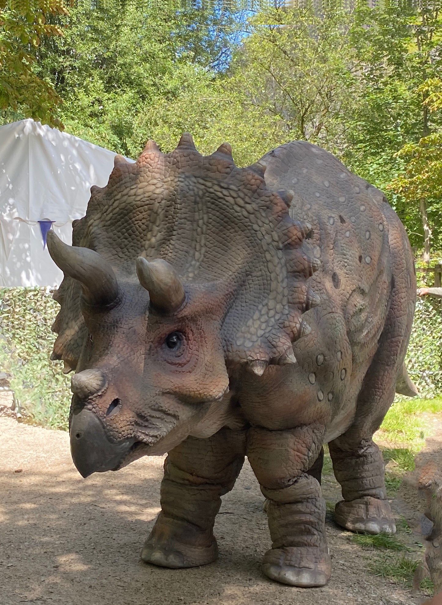 Dinosaur Day at Crich Tramway Village :: Visit Derby