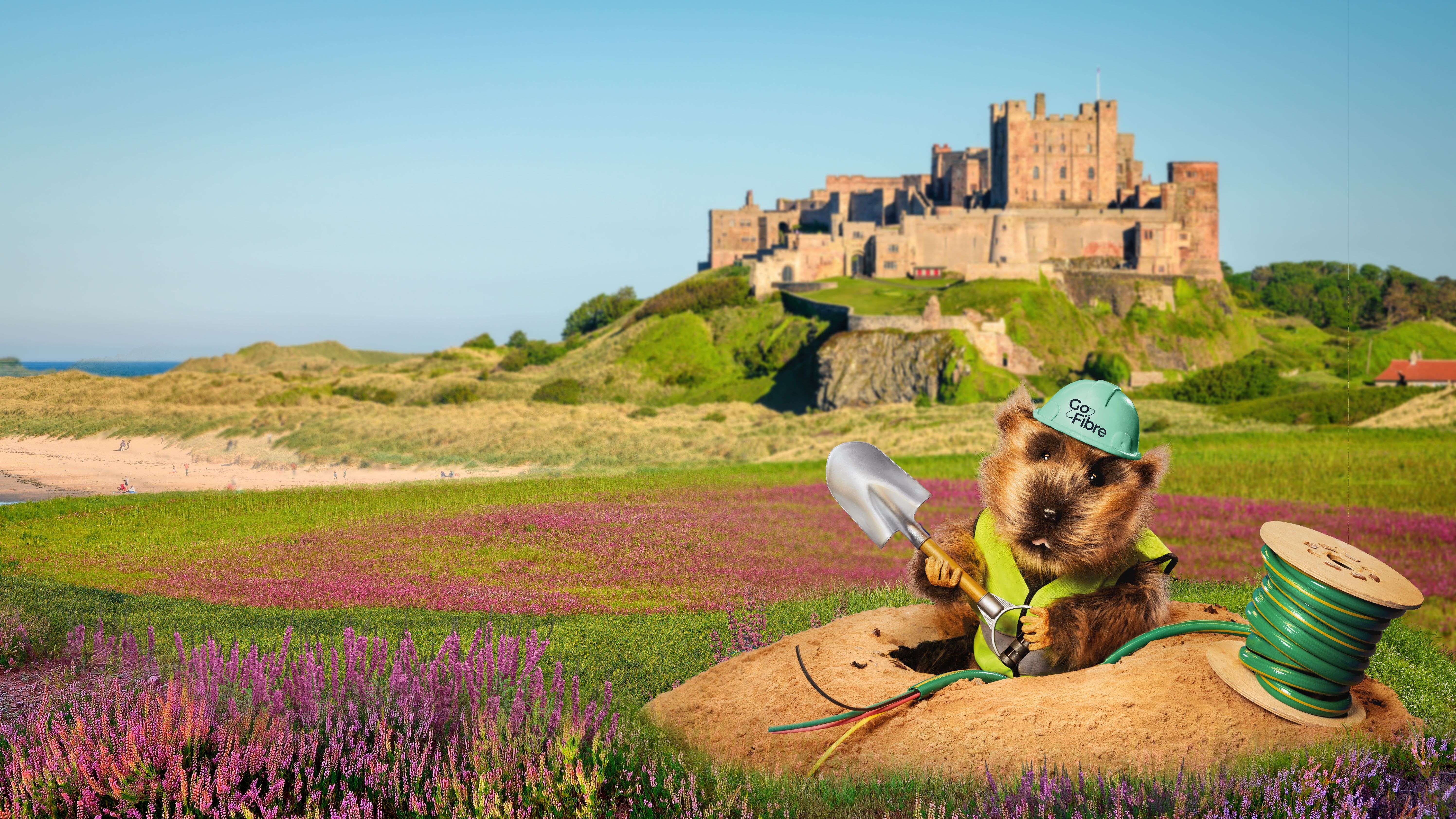 About GoFibre | Full Fibre Broadband Provider