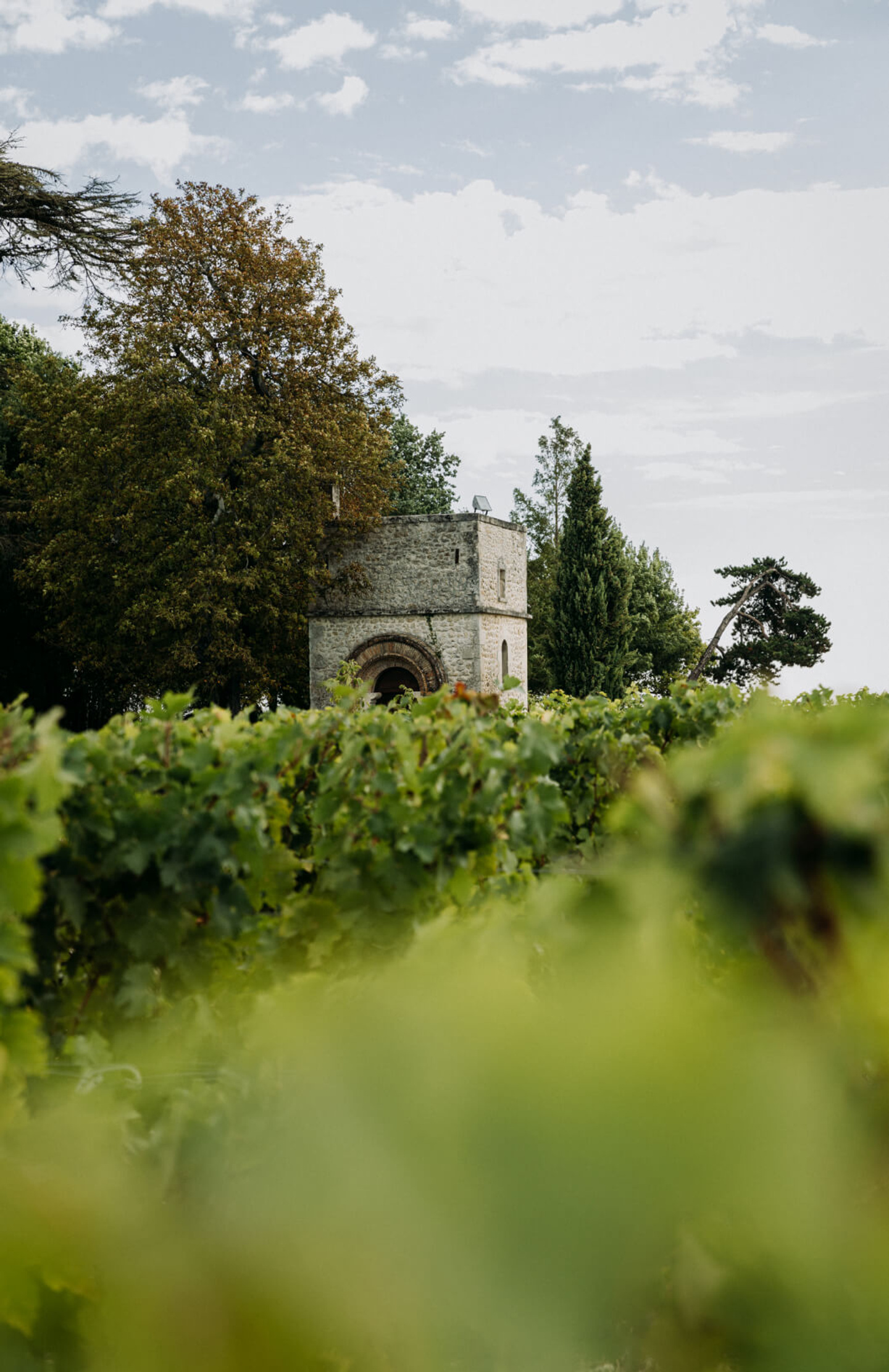 The Estate - Lafon Rochet