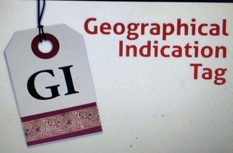 Registration of Geographical Indication in India