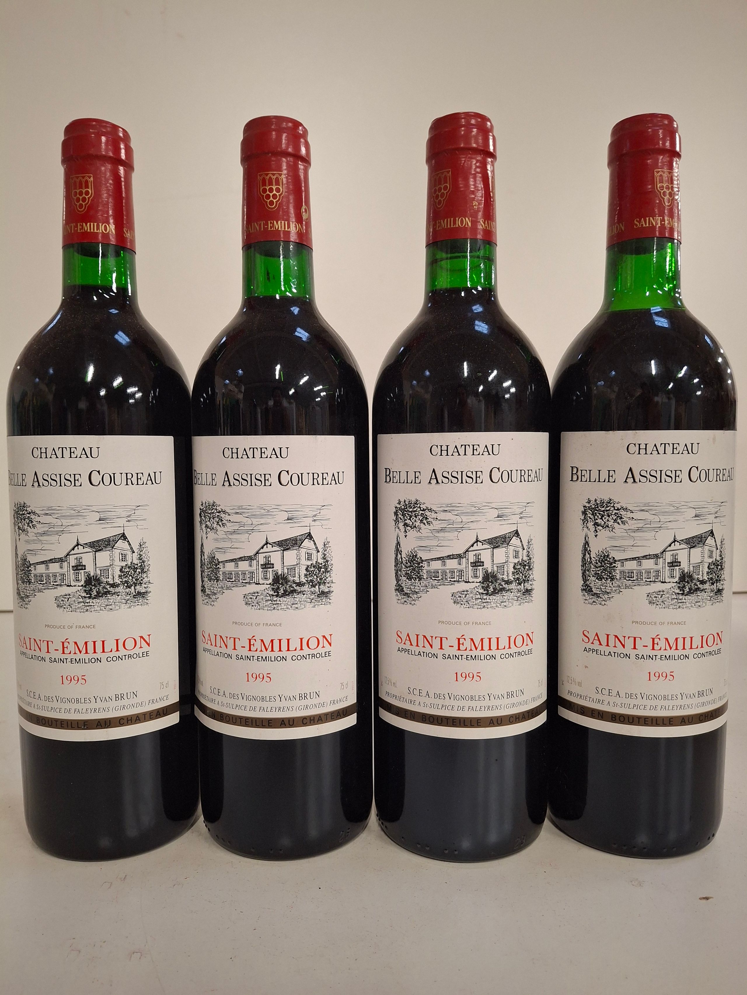 41 Lot de 4 bouteilles : Bouteilles Saint Emilion 1995 Château Belle ...