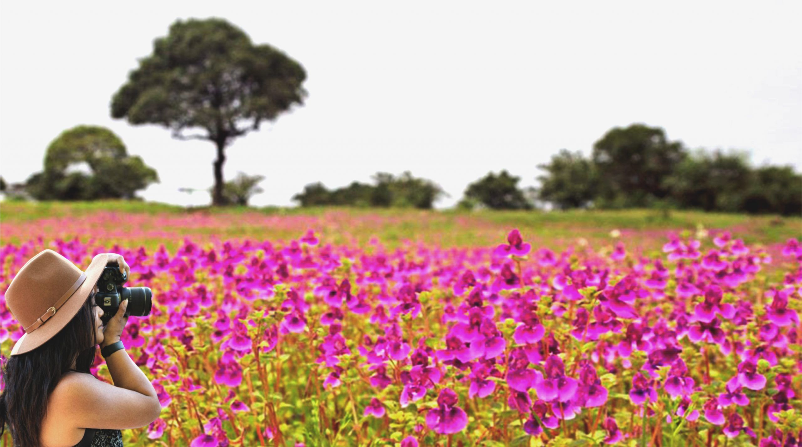 Kaas Plateau & Thoseghar Waterfall | Liveb4youdie
